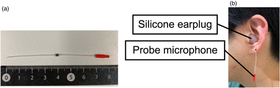 Basic perception and propagation characteristics of bone-conducted ...