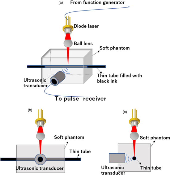 Directivity of photoacoustically generated ultrasound from a thin tube ...