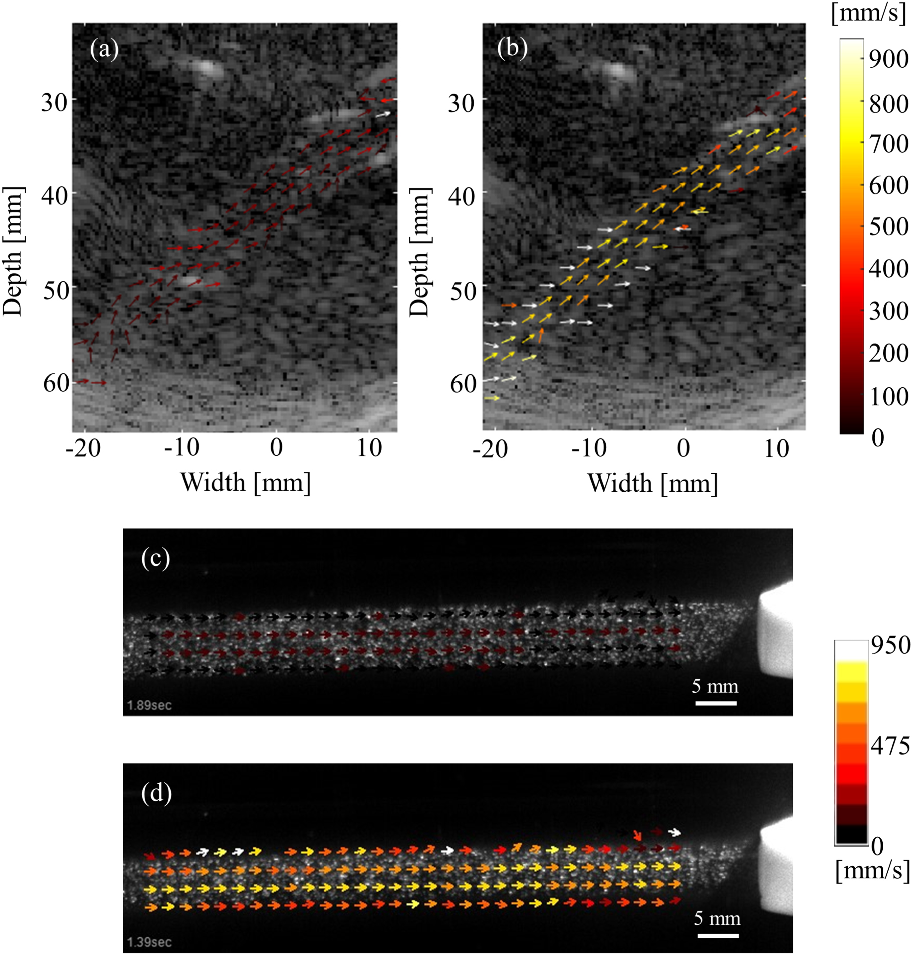 Robust flow vector estimation for echocardiography with extended ...