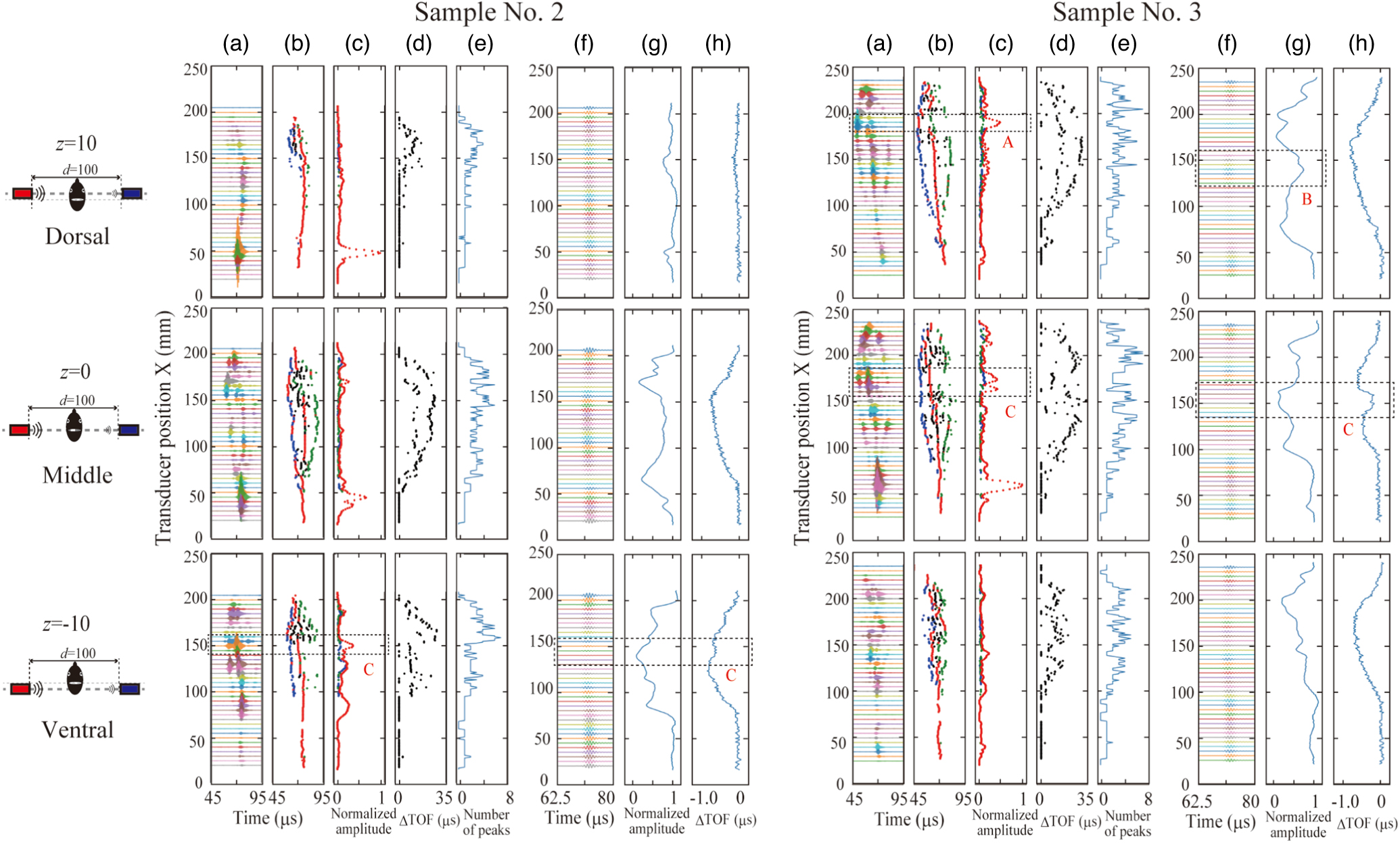 Detection of fish passing through a narrow path using reflected and ...