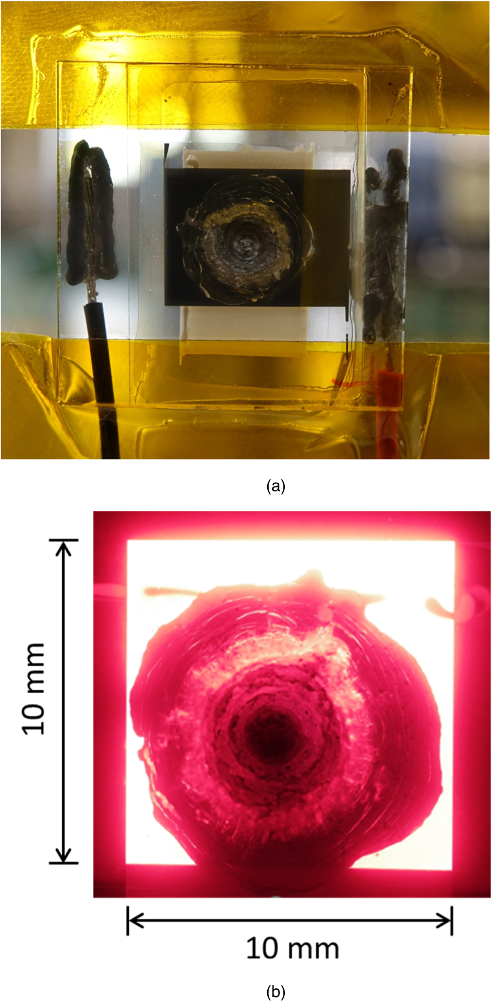 Evaluation of hypervelocity impact of micrometeoroids and orbital ...