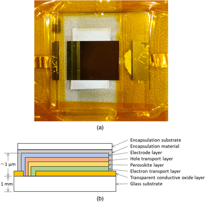 Evaluation of hypervelocity impact of micrometeoroids and orbital ...