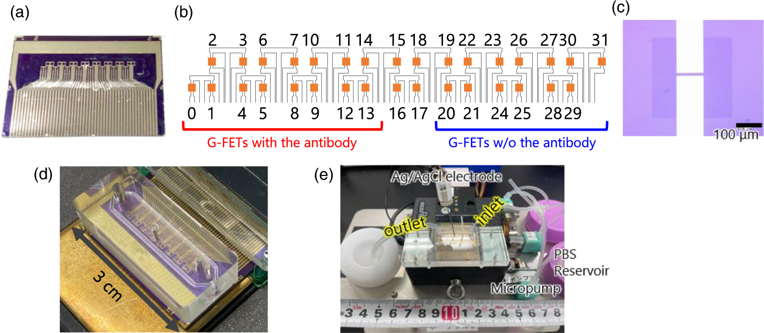 SARS-CoV-2 detection by using graphene FET arrays with a portable ...