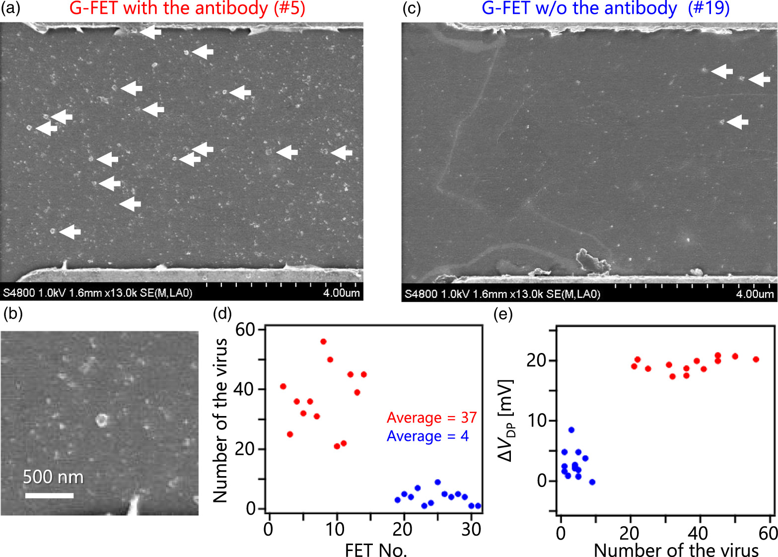 SARS-CoV-2 detection by using graphene FET arrays with a portable ...