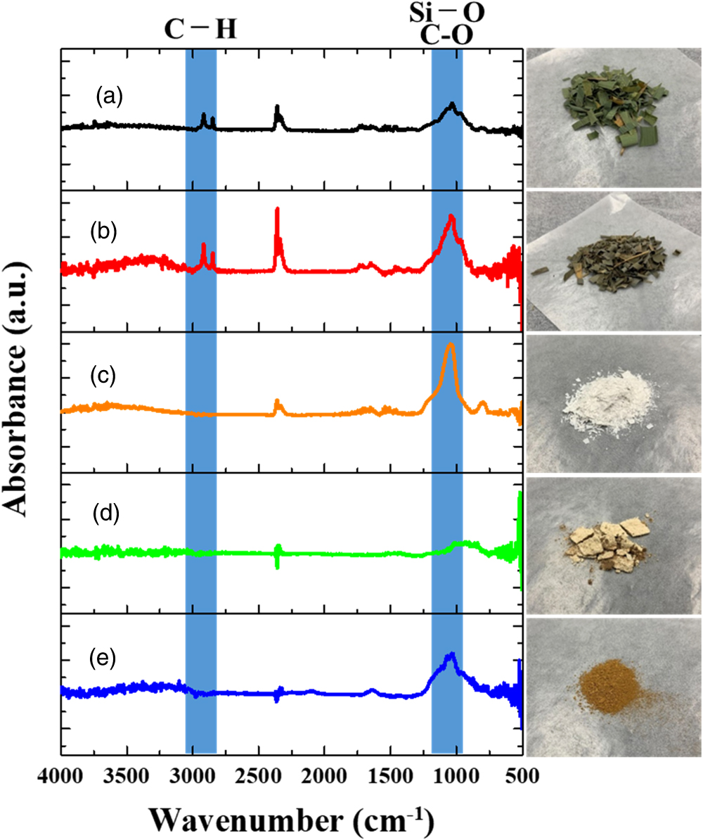 Preparation of Si nanoparticles from bamboo leaves and measurement of ...
