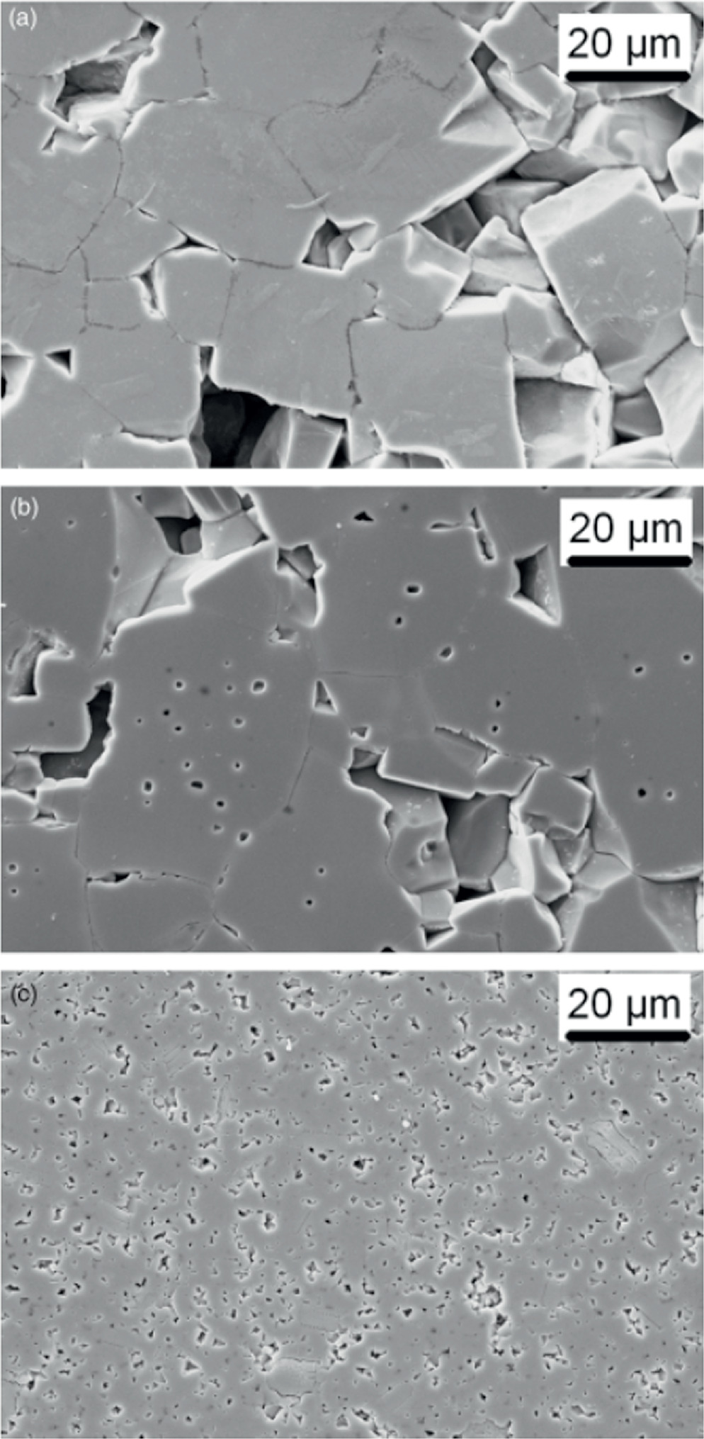 Sodium–potassium–niobate based piezoelectric ceramics: processing ...