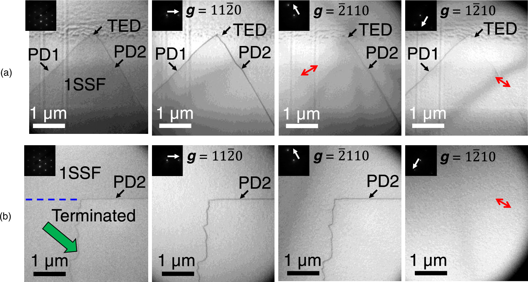 Comparison of single Shockley-type stacking fault expansion rates in 4H ...