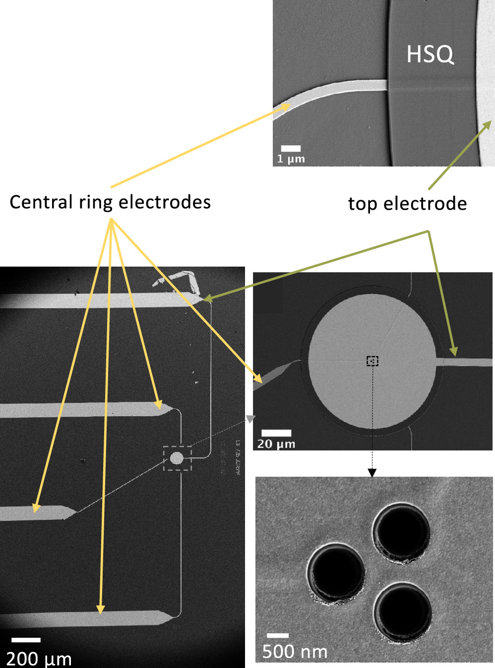 Electrostatic interference control of a high-energy coherent electron ...