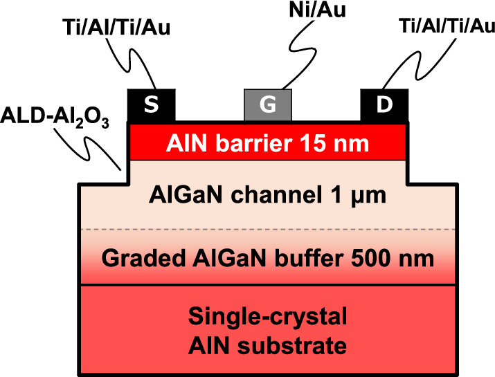 AlN/AlGaN heterojunction field-effect transistors with a high-AlN-mole ...
