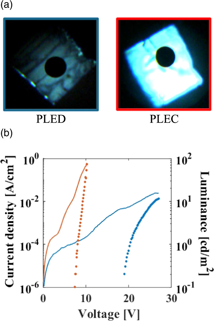 Polarized polymer light-emitting electrochemical cells using ...