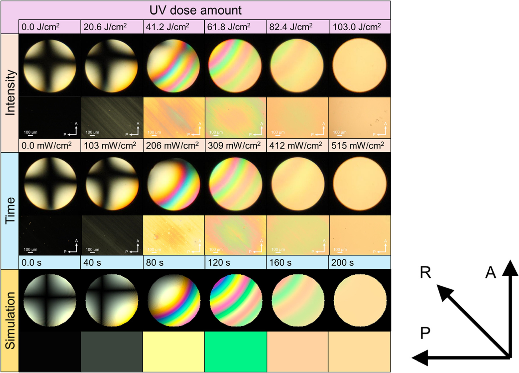 Investigation of orientation behavior of nematic liquid crystals on UV ...