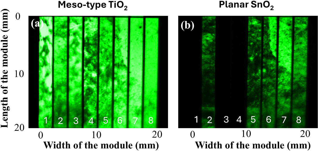 Enhanced photovoltaic performance and longevity of perovskite modules ...