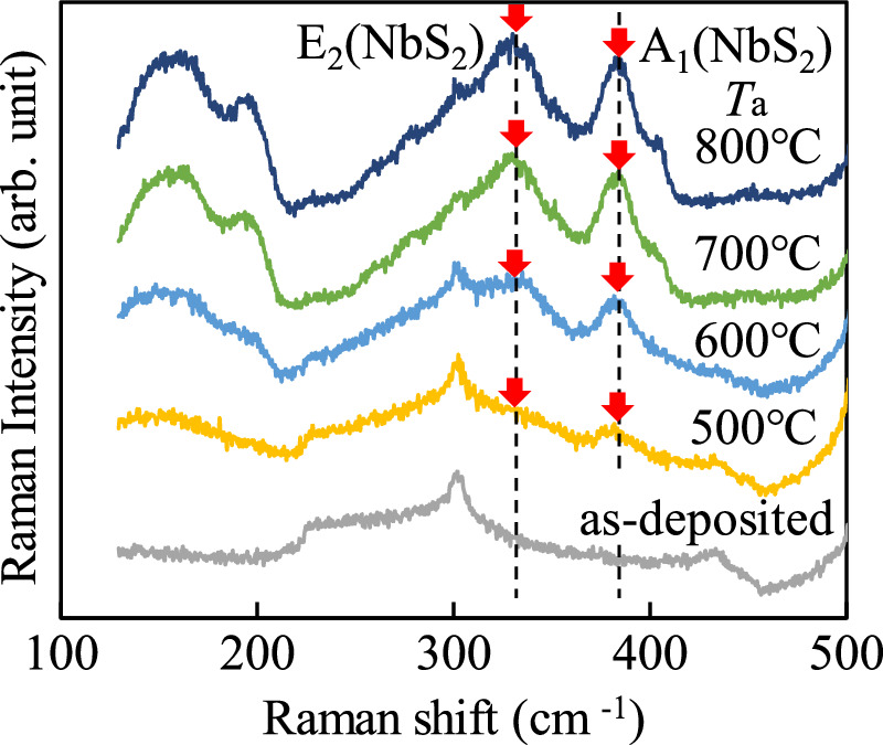 Layered NbS2 contacts formed via H2S reaction with Nb for high ...
