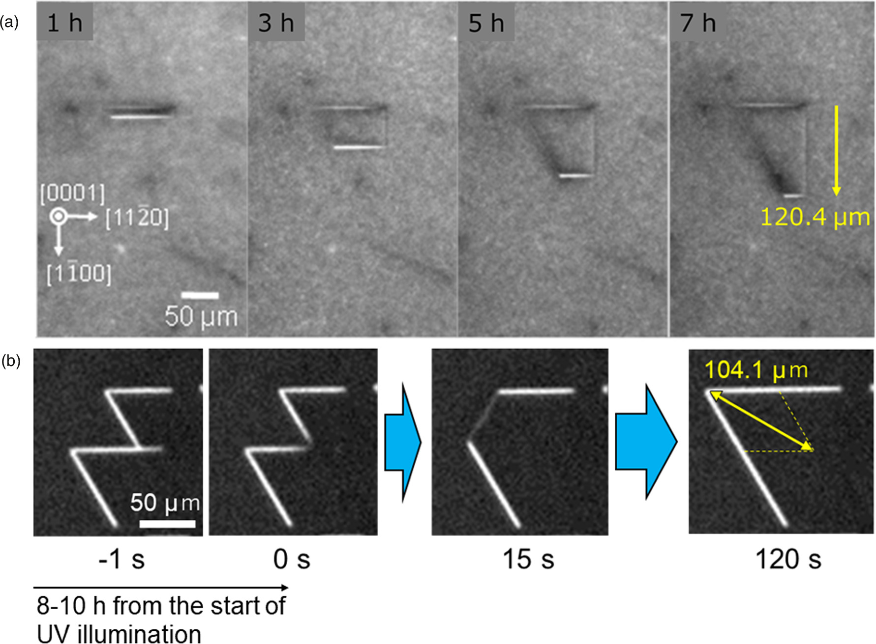 Effect of basal plane dislocation structures on single Shockley-type ...