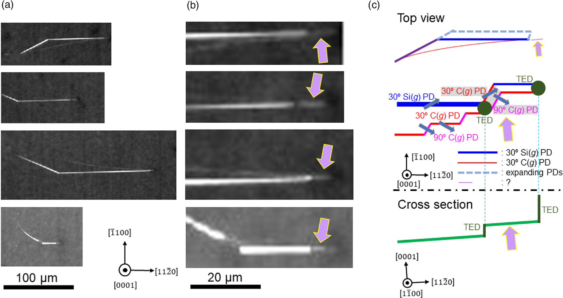 Effect of basal plane dislocation structures on single Shockley-type ...
