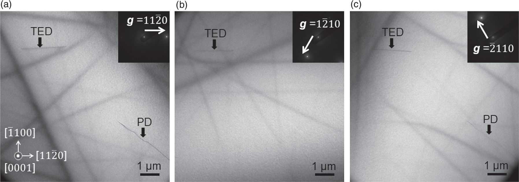 Effect of basal plane dislocation structures on single Shockley-type ...