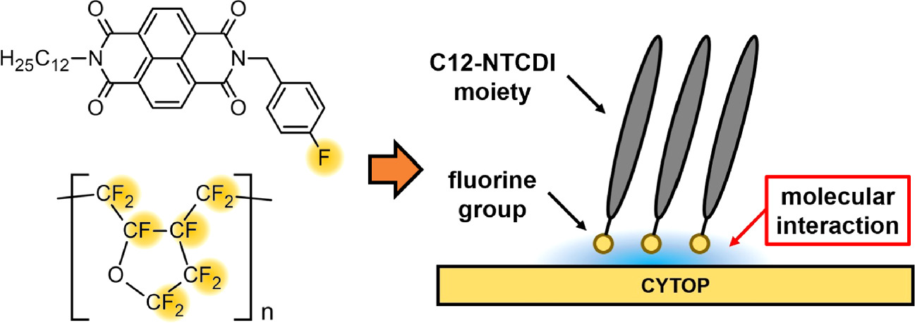 Optimization of thin-film formation of naphthalene tetracarboxylic ...