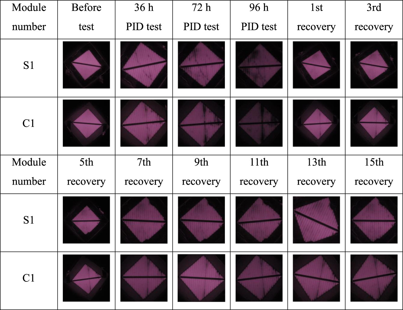 Potential-induced degradation phenomena in single-encapsulation ...