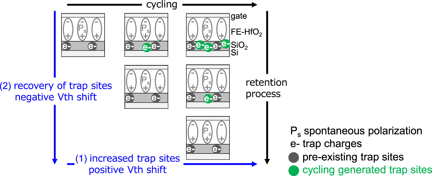 Recovery of cycling-induced degradation of interfacial SiO2 in HfO2 ...