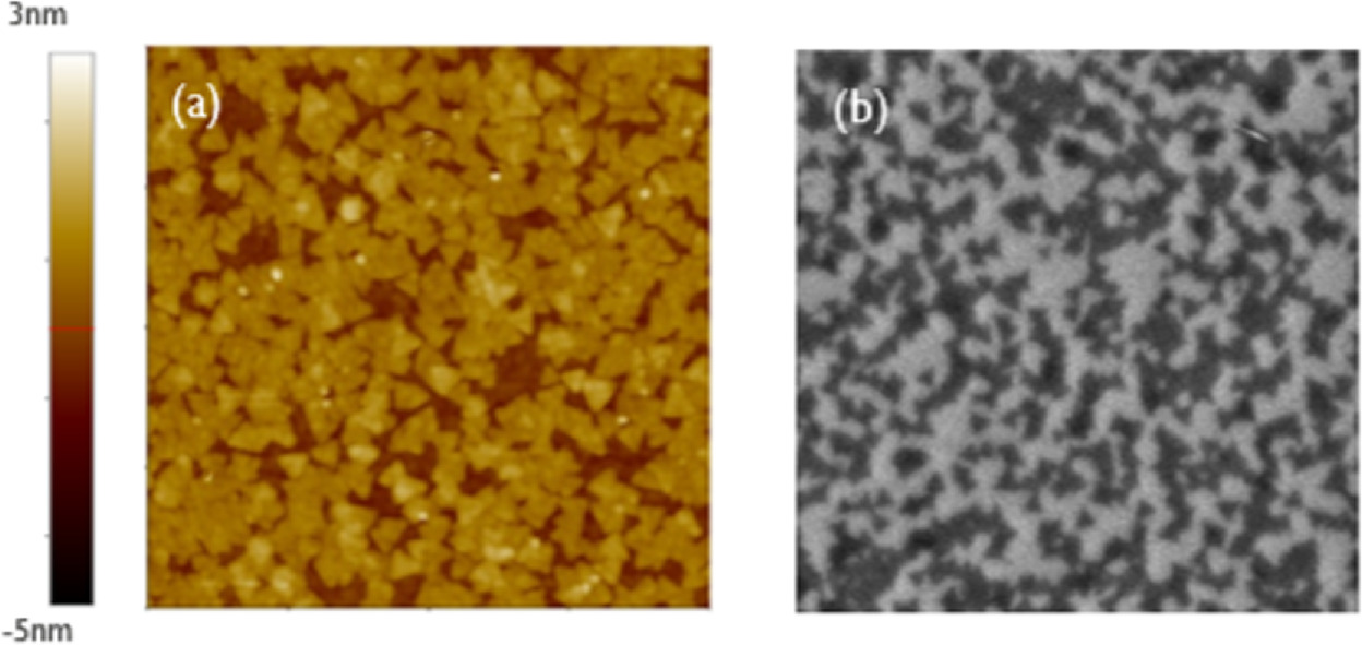 Wafer-scale characterization for two-dimensional material layers ...