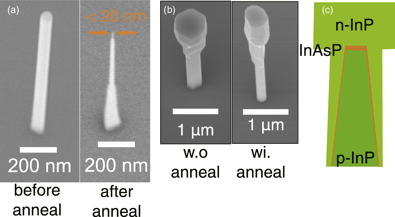 Characterization of nanowire light-emitting diodes with InP/InAsP heterostructures emitting in ...