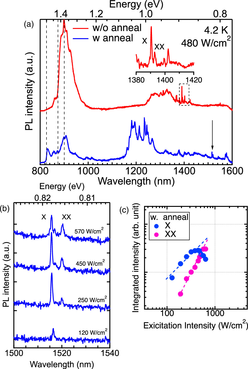 Characterization of nanowire light-emitting diodes with InP/InAsP ...
