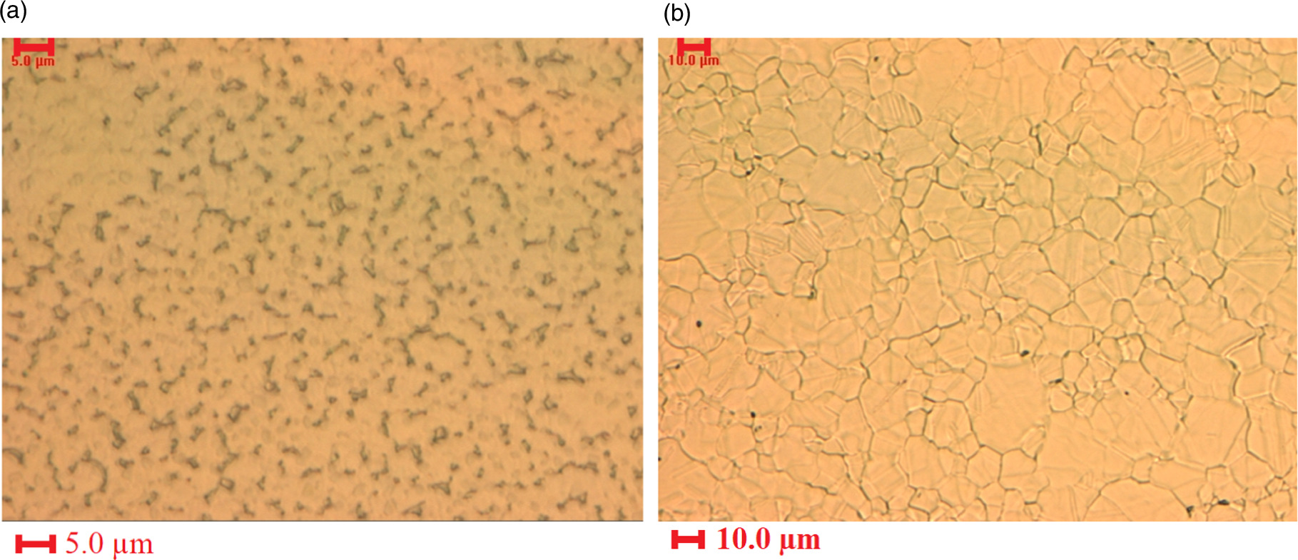 Chemical mechanical polishing for indium bond pad damascene processing ...