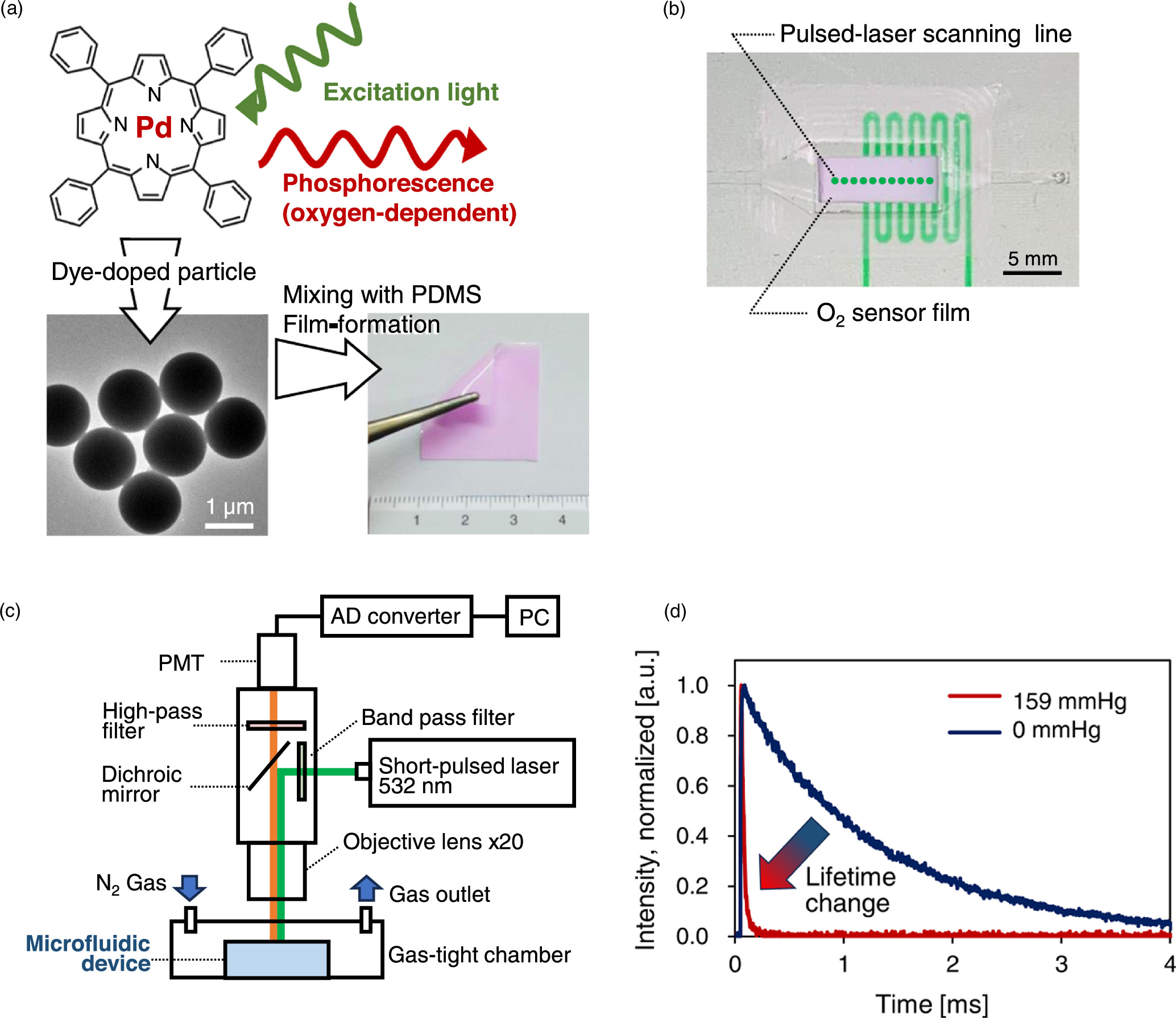 Three-dimensional microfluidic cell culture device that generates ...