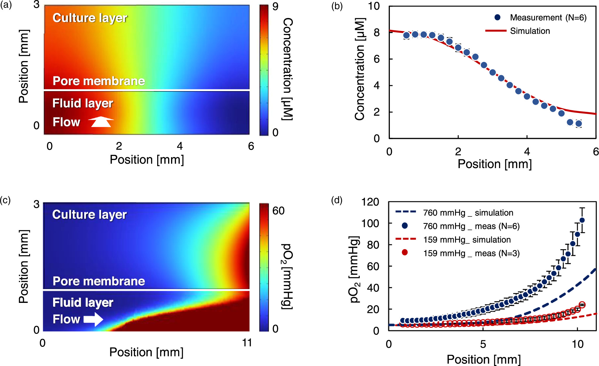 Three-dimensional microfluidic cell culture device that generates ...