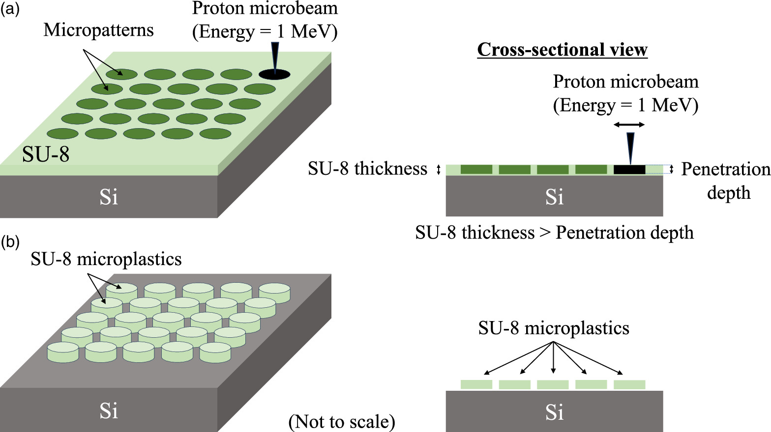 Fabrication of engineered microplastics in an epoxy-based polymer (SU-8 ...