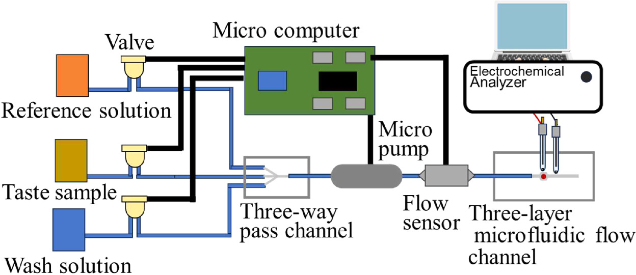 A microfluidic sensor for continuously measuring membrane potential ...