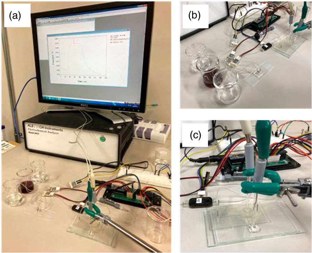 A microfluidic sensor for continuously measuring membrane potential ...