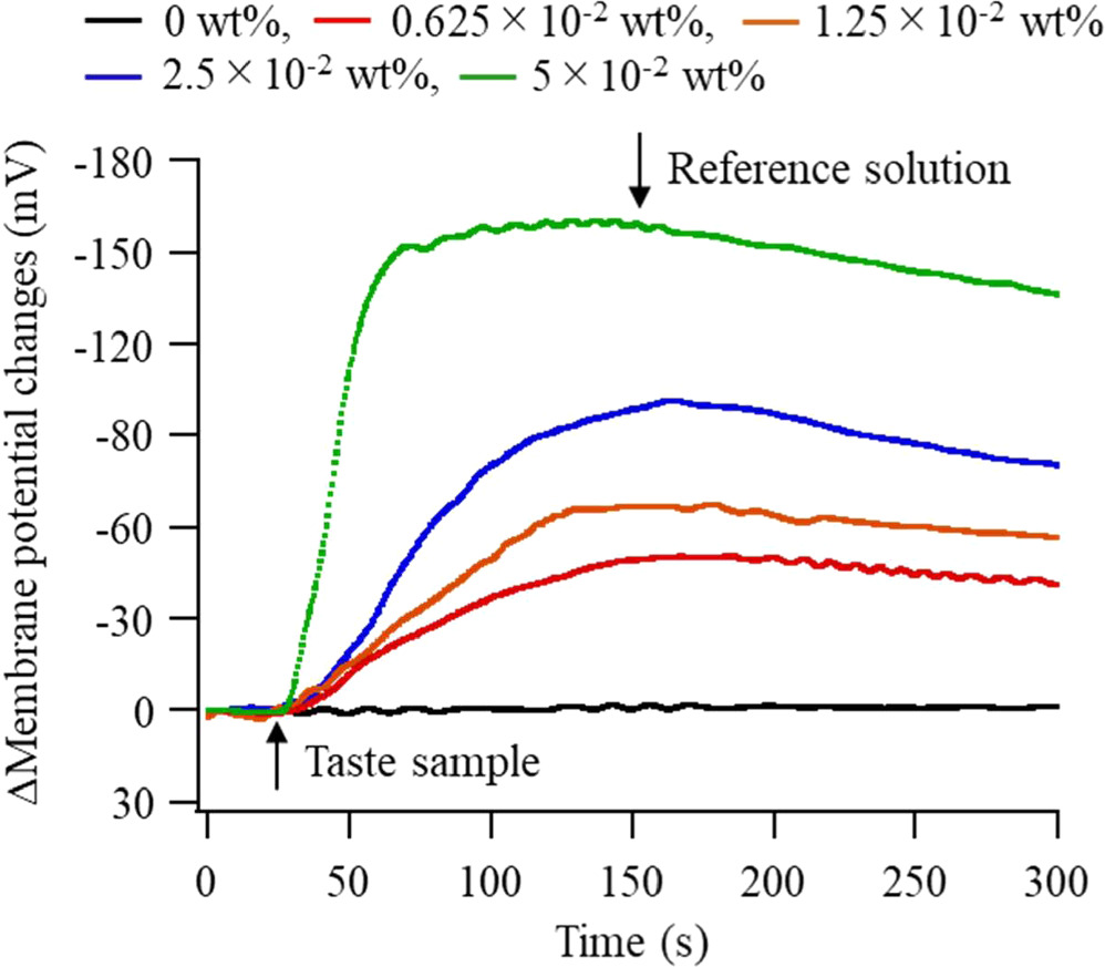 A microfluidic sensor for continuously measuring membrane potential ...