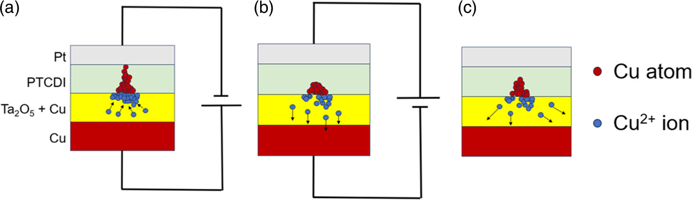 Influence of unique behaviors in an atomic switch operation on hardware ...