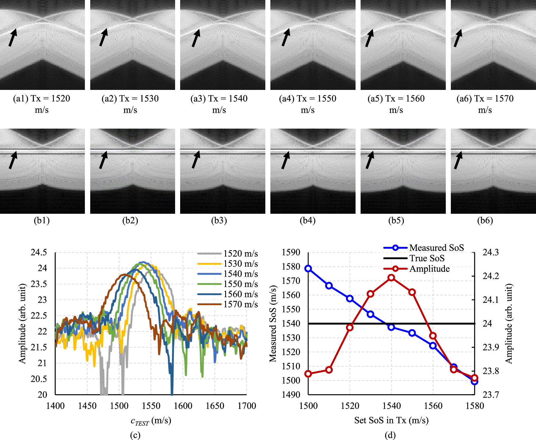 Preliminary study on cartilage tissue evaluation based on longitudinal ...