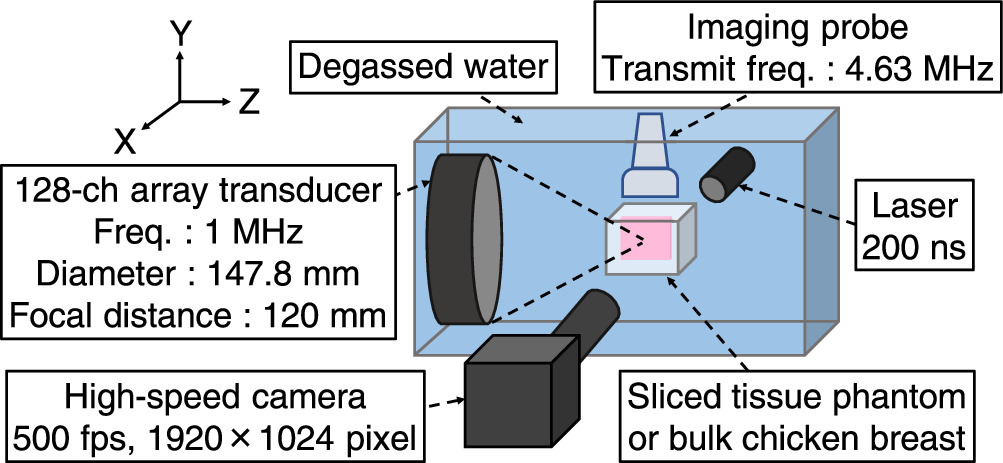 Effect of intended shift in propagation direction of cavitation ...