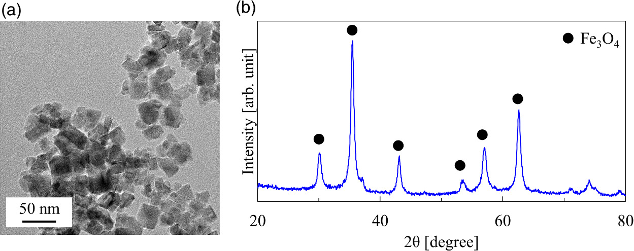 One-dimensional assemblies of magnetic iron-oxide nanoparticles ...