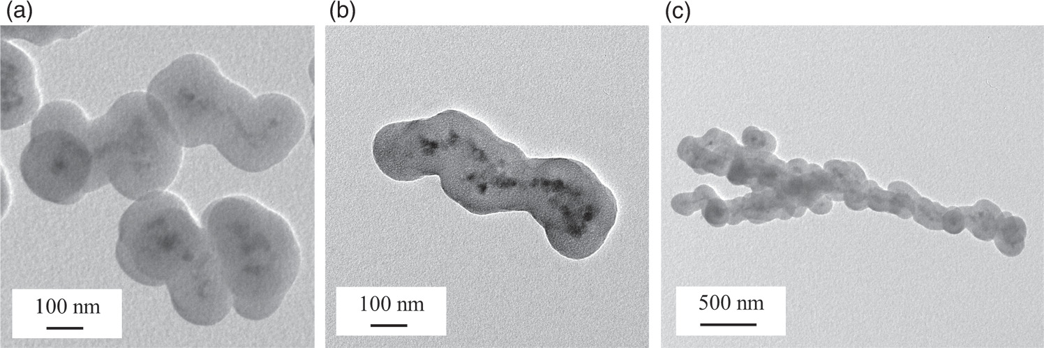 One-dimensional assemblies of magnetic iron-oxide nanoparticles ...