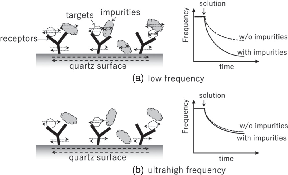 Ultrasensitive wireless quartz crystal microbalance bio/gas sensors ...