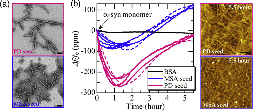 Ultrasensitive wireless quartz crystal microbalance bio/gas sensors ...