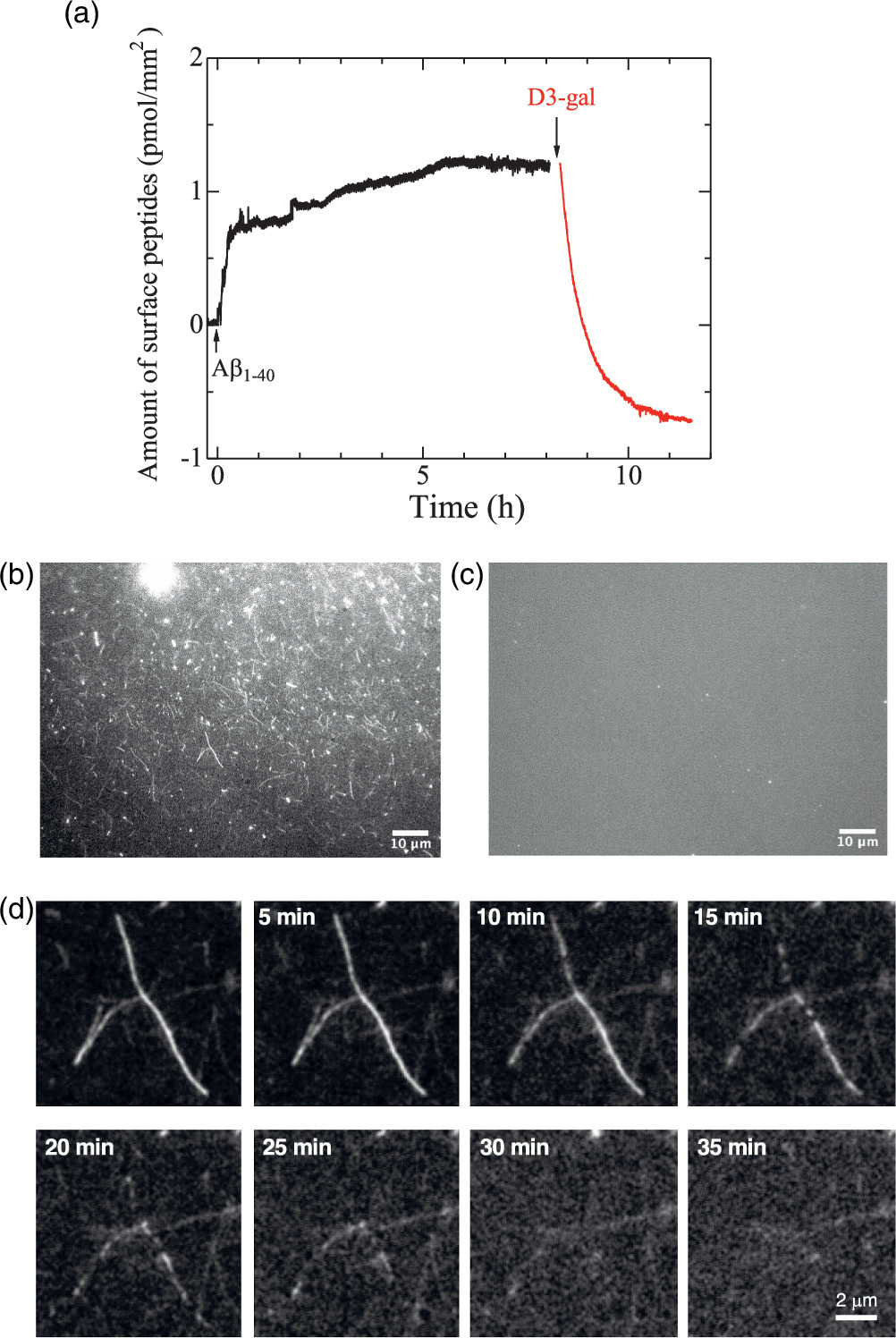 Ultrasensitive wireless quartz crystal microbalance bio/gas sensors ...