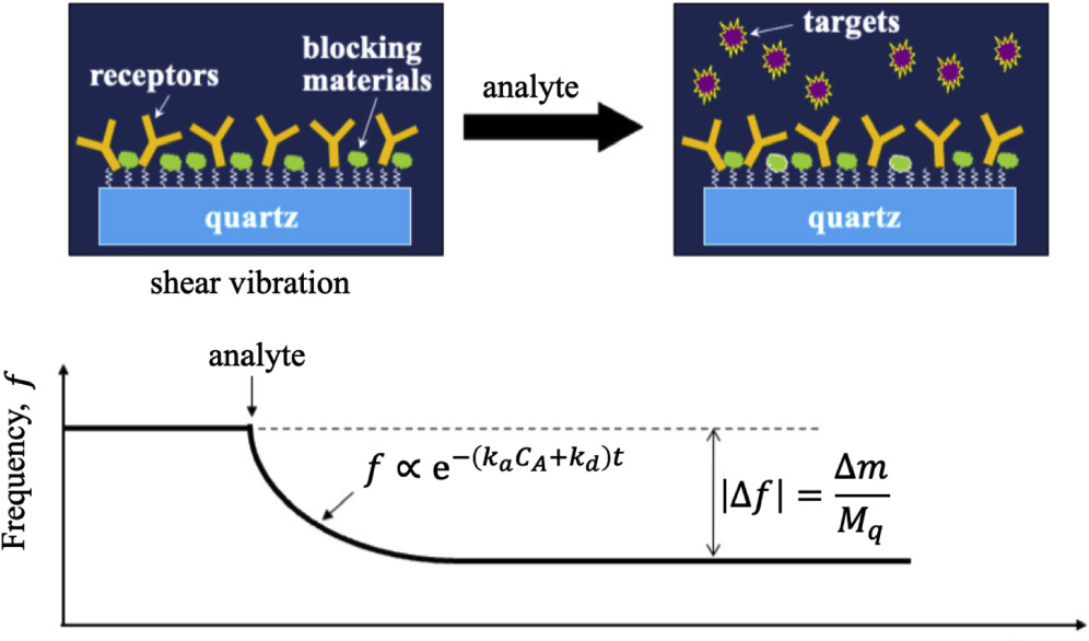 Ultrasensitive wireless quartz crystal microbalance bio/gas sensors ...