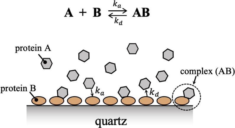 Ultrasensitive wireless quartz crystal microbalance bio/gas sensors ...