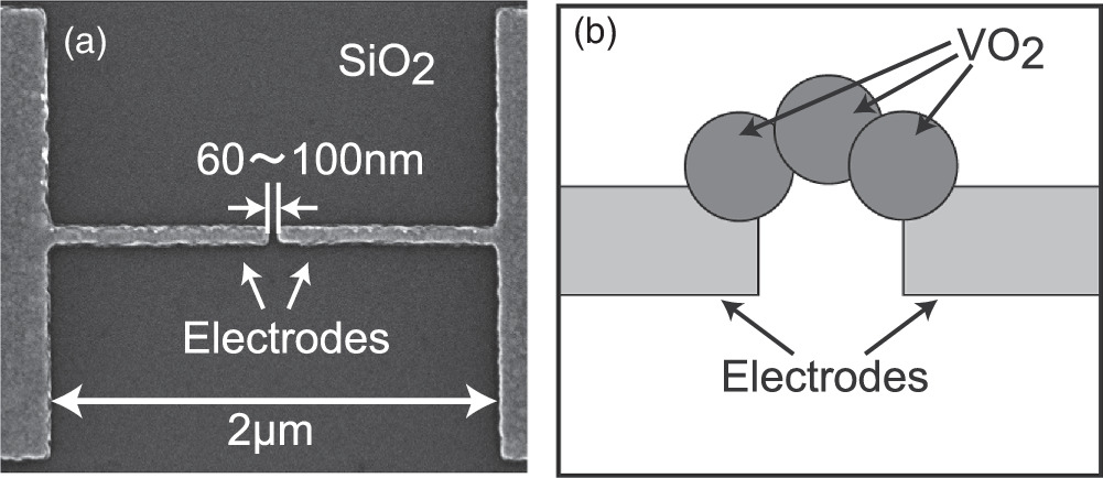 Competitive coexistence of ferromagnetism and metal–insulator ...