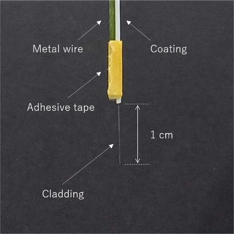 Optical fiber-based acoustic intensity microphone for high-intensity ...