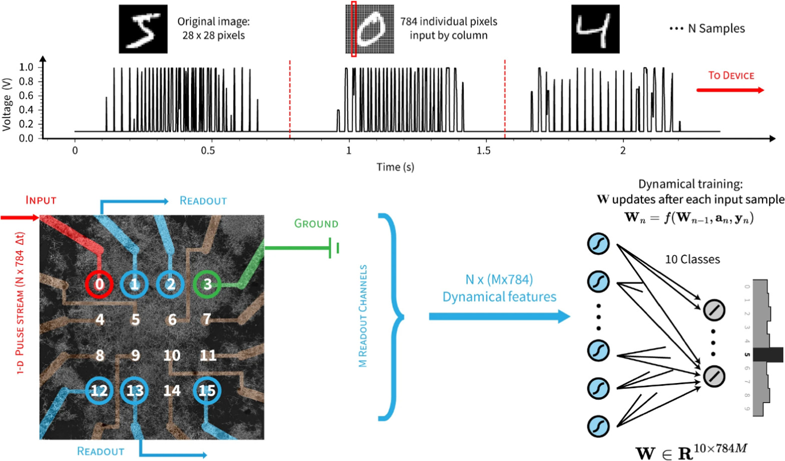 An organized view of reservoir computing: a perspective on theory and ...