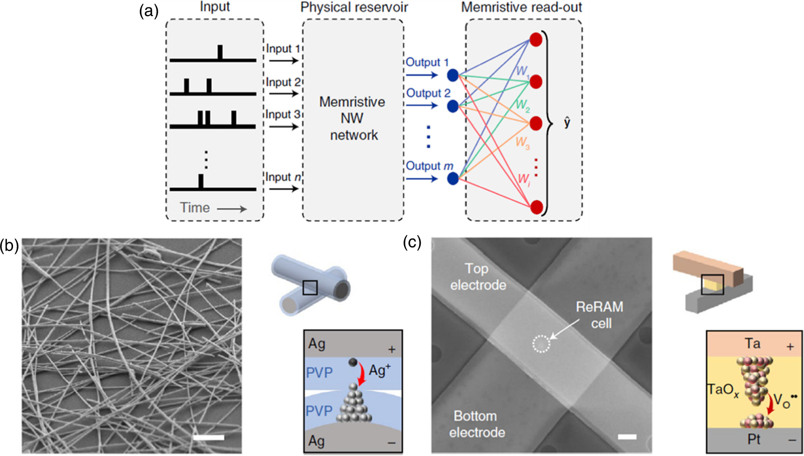 An organized view of reservoir computing: a perspective on theory and technology development ...