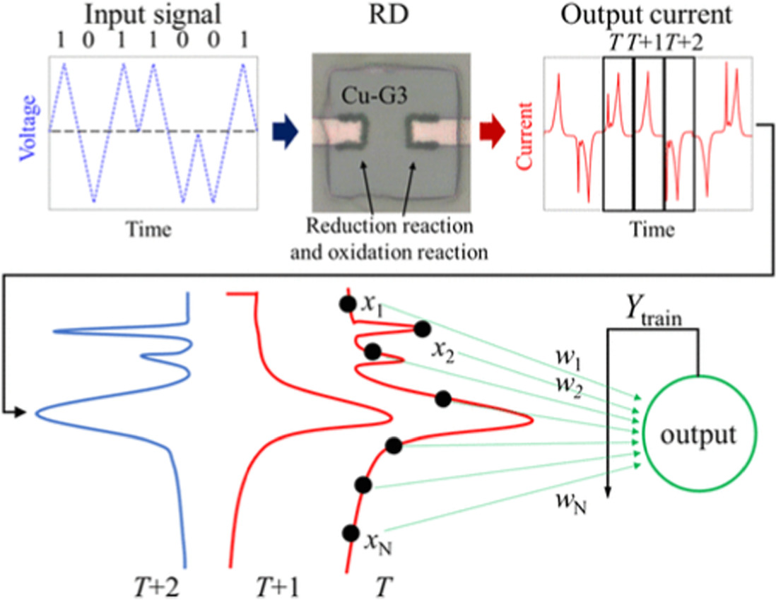 An organized view of reservoir computing: a perspective on theory and ...