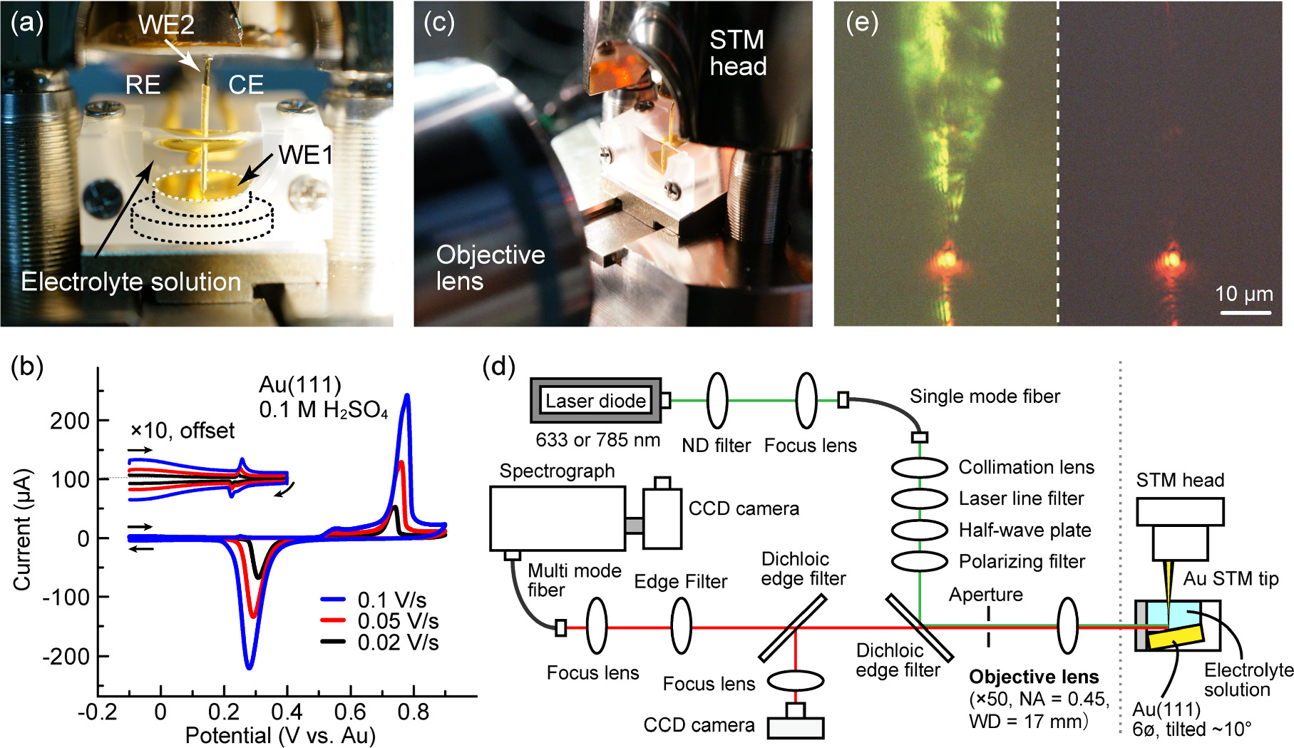 In situ and ex situ approaches for molecular scale understanding of ...