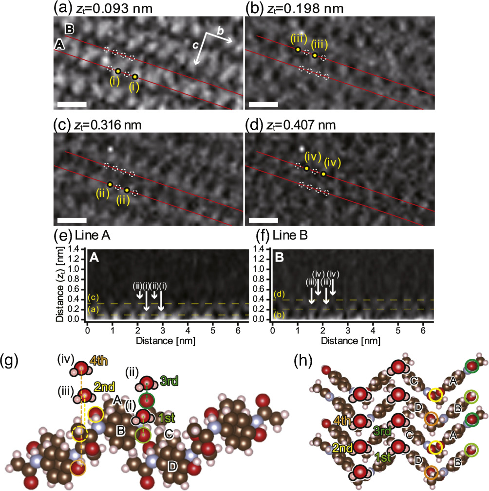 Comparison of hydration structure formed on organic crystal surfaces ...